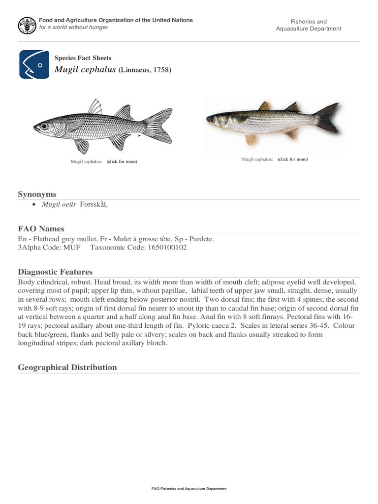 FAO Fisheries & Aquaculture - Aquatic Species | PDF | Fish | Aquaculture