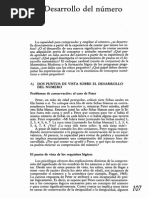 Niveles de Escritura - Miriam Nemirovsky | PDF