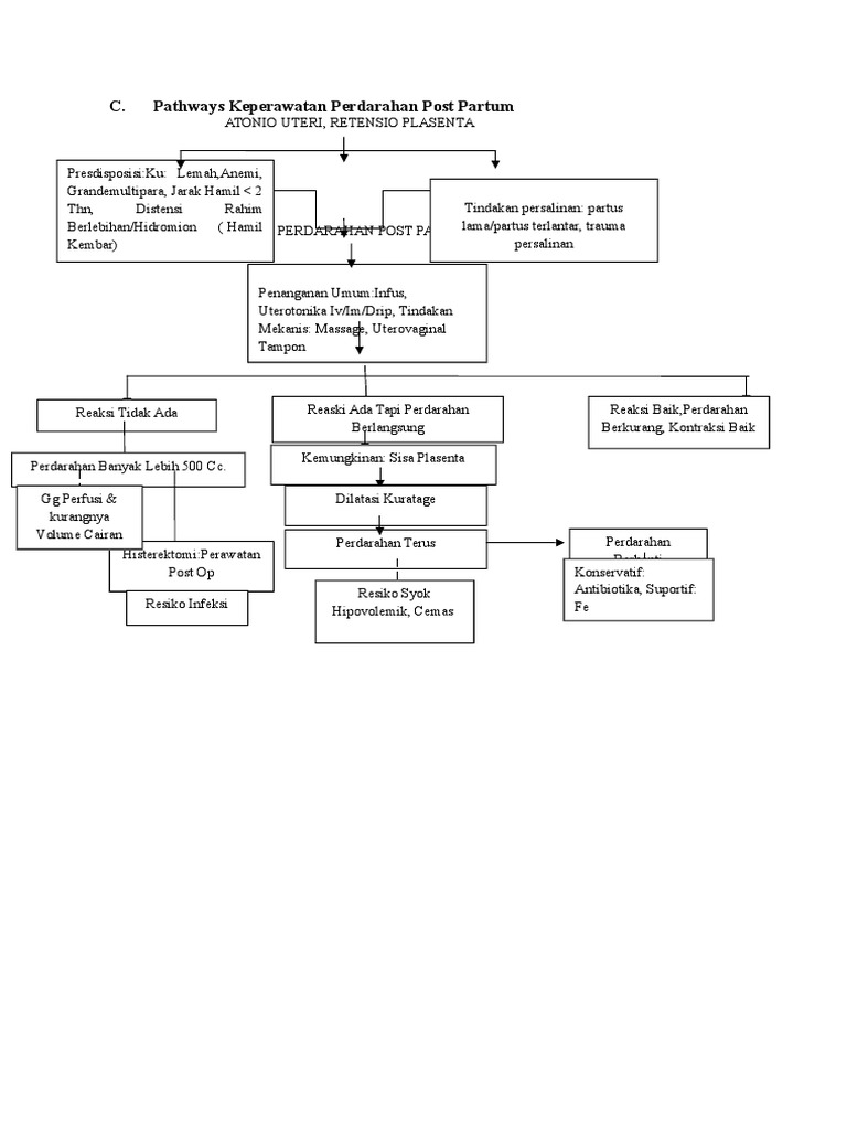 Pathways Keperawatan Perdarahan Post Partum | PDF