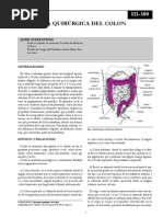 Técnicas de Cecostomía y Colostomía | PDF | Intestino grueso | Abdomen