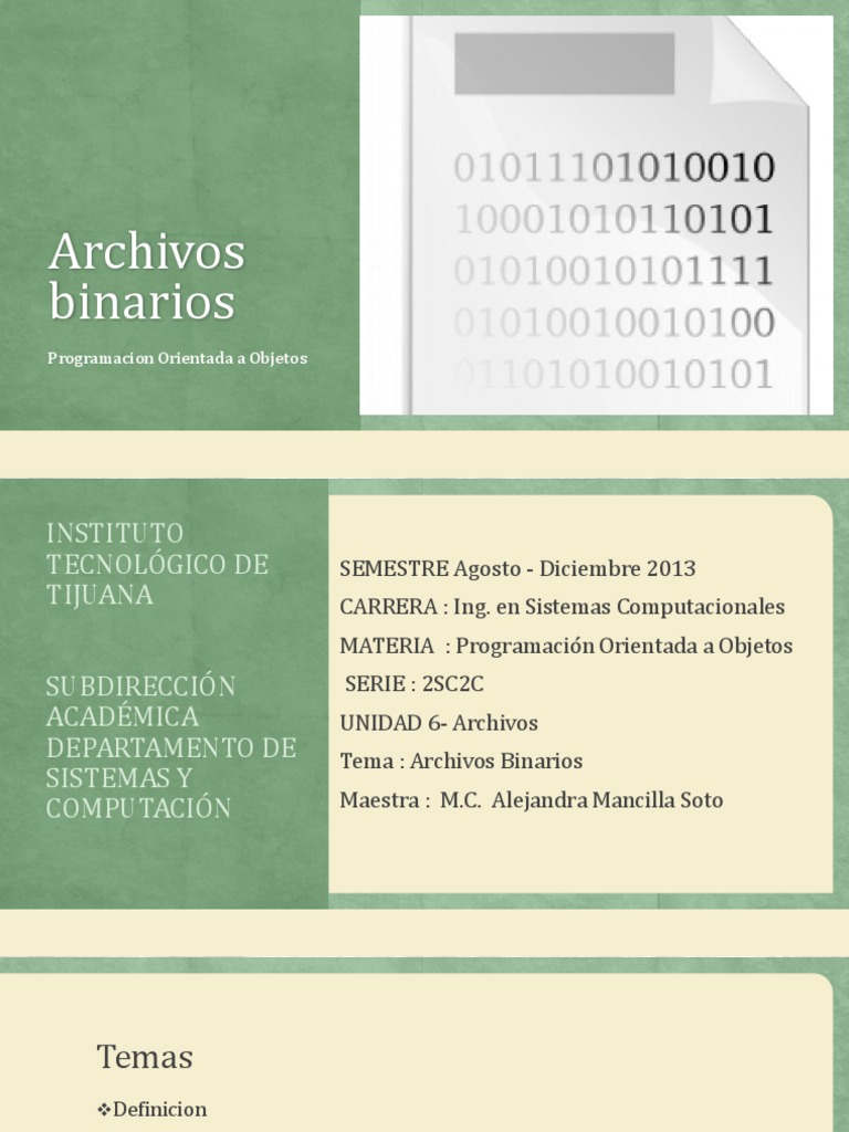 Archivos Binarios | PDF | Archivo de computadora | Datos de computadora
