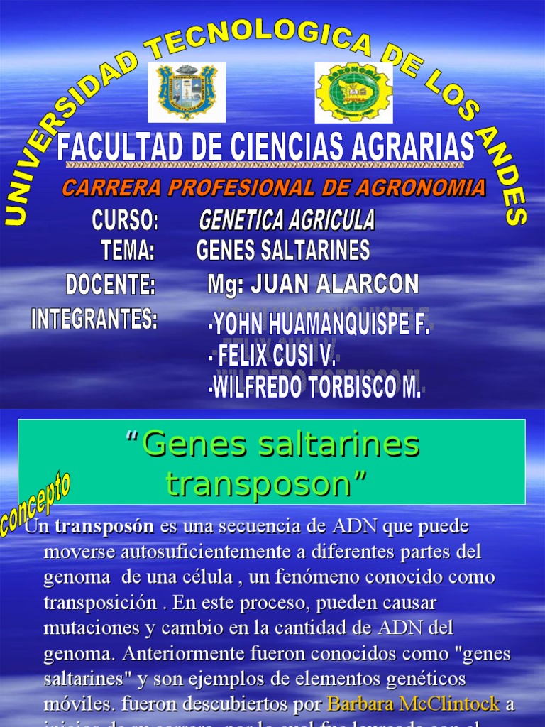 Genes saltarines y su transposición | PDF | Elemento transponible ...