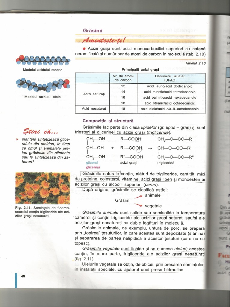 Grasimi | PDF