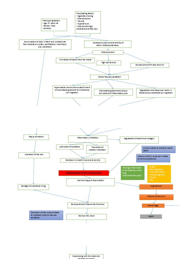 Concept Map AAA | Embolism | Atherosclerosis