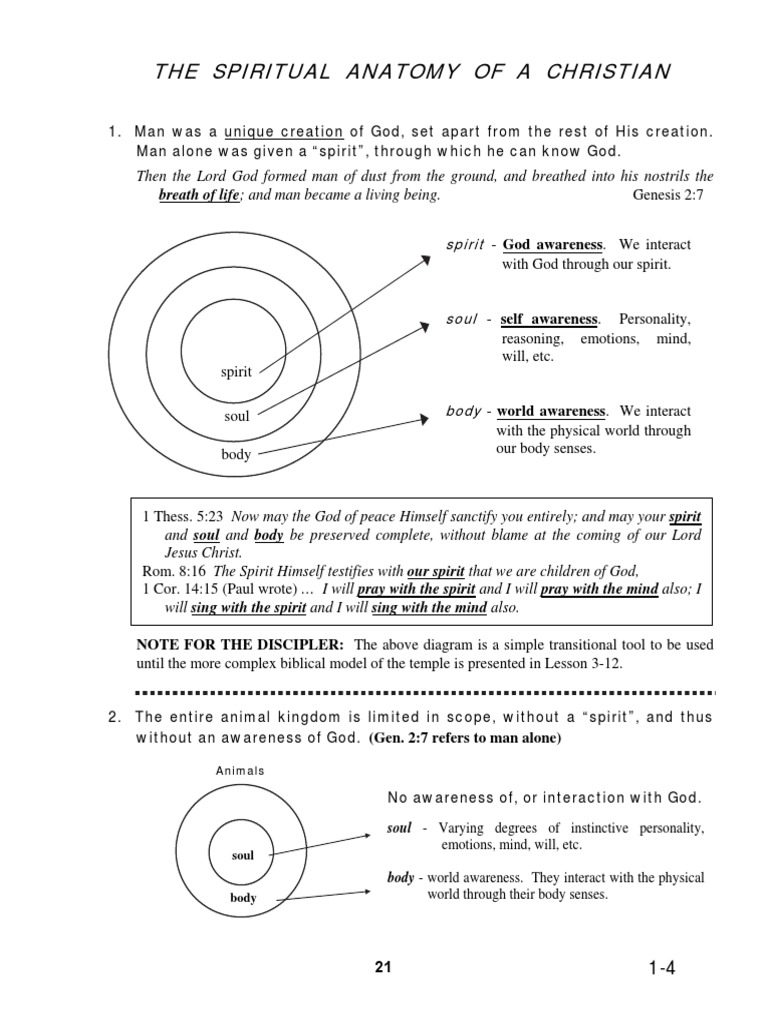 Spiritual Anatomy of a Christian | PDF