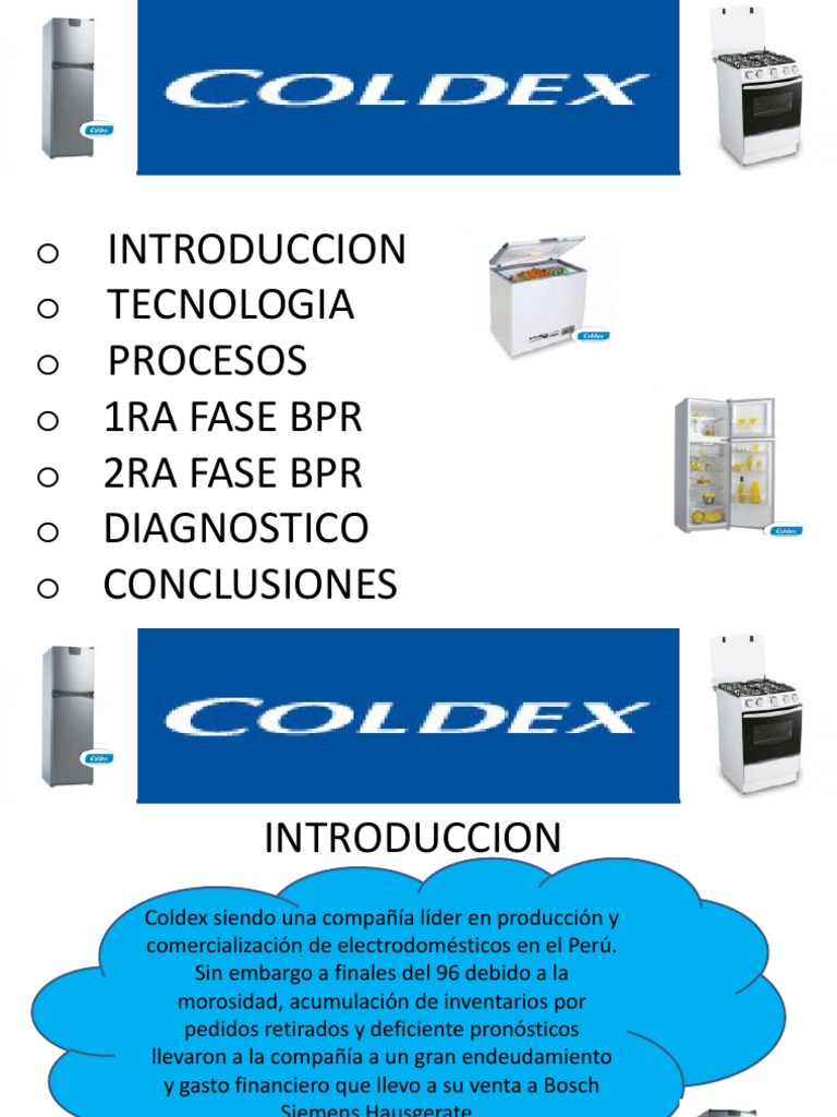 Caso Coldex | PDF | Informática | Business