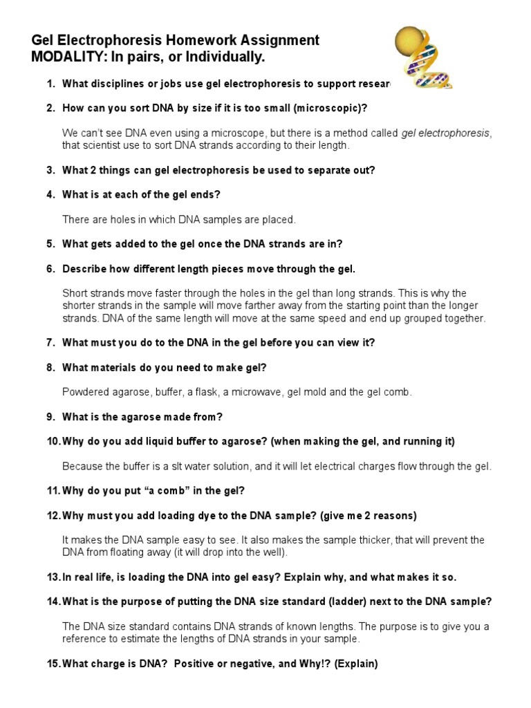 Gel Electrophoresis Homework Guide | PDF | Agarose Gel Electrophoresis ...