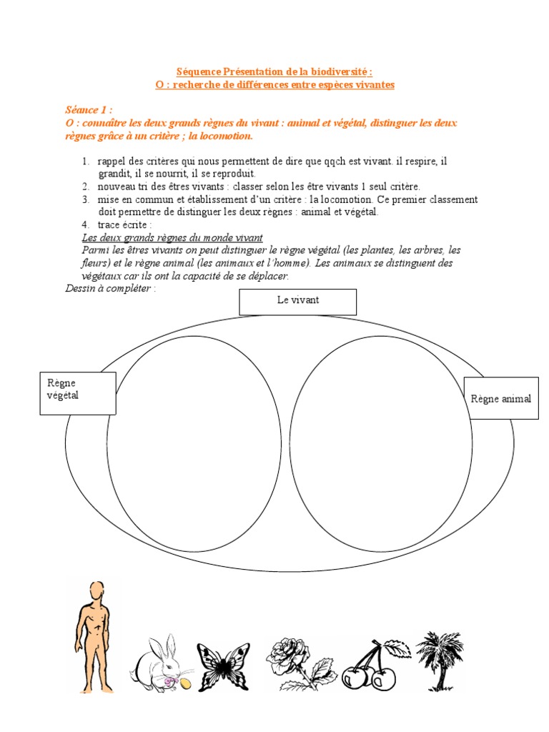 Séquence Présentation de La Biodiversité | PDF