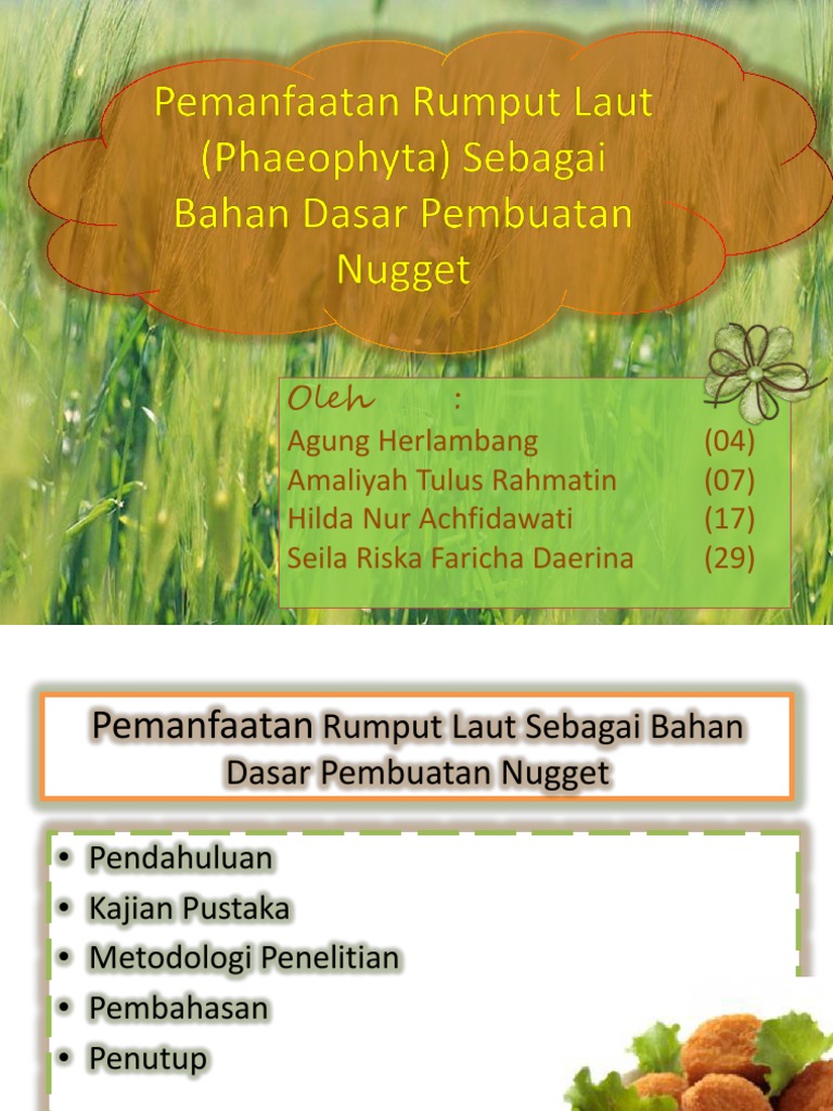 Pemanfaatan Rumput Laut Sebagai Bahan Dasar Pembuatan Nuget | PDF ...