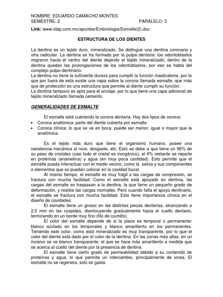 Generalidades de Esmalte | PDF | Diente humano | Esmalte de dientes
