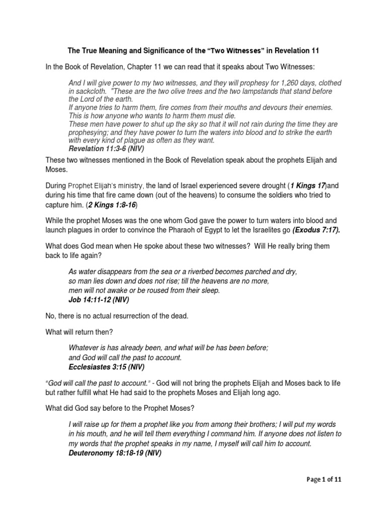 Revelation's Two Witnesses Explained | PDF | Elijah | Prophet