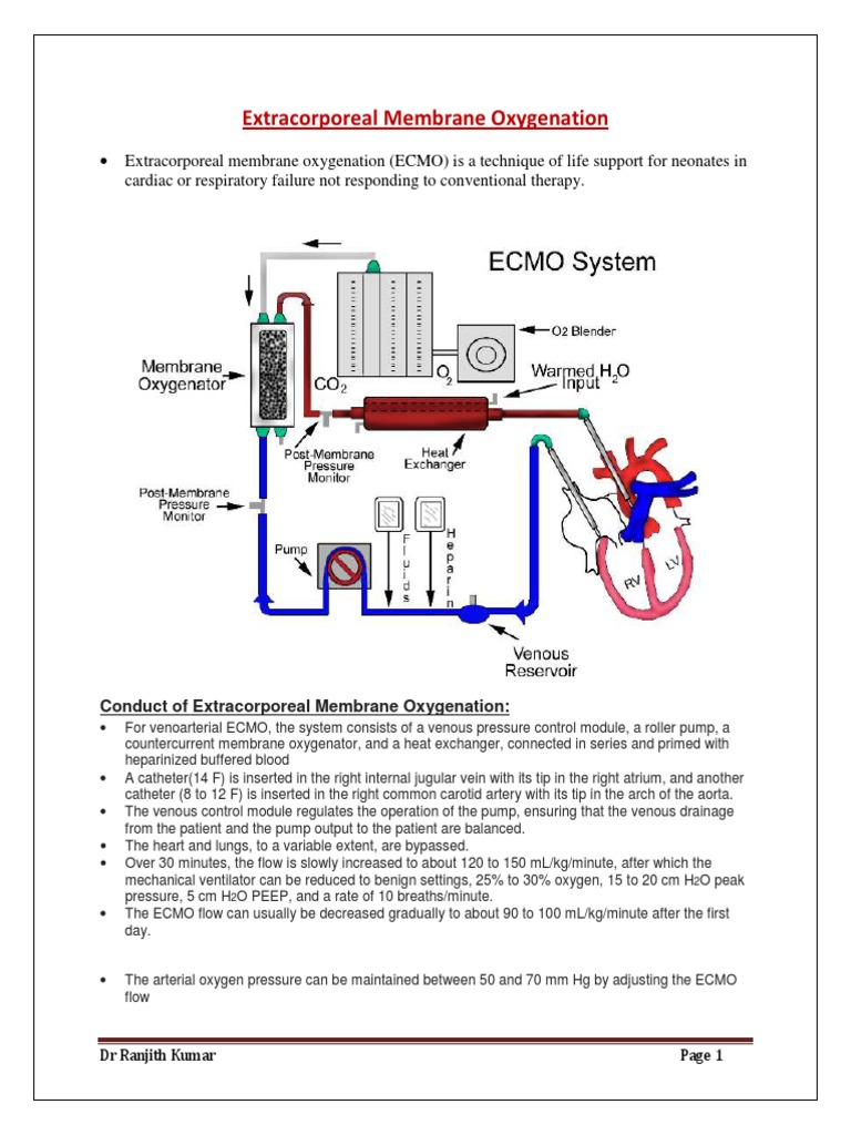Ecmo PDF | PDF | Medical Specialties | Cardiovascular System