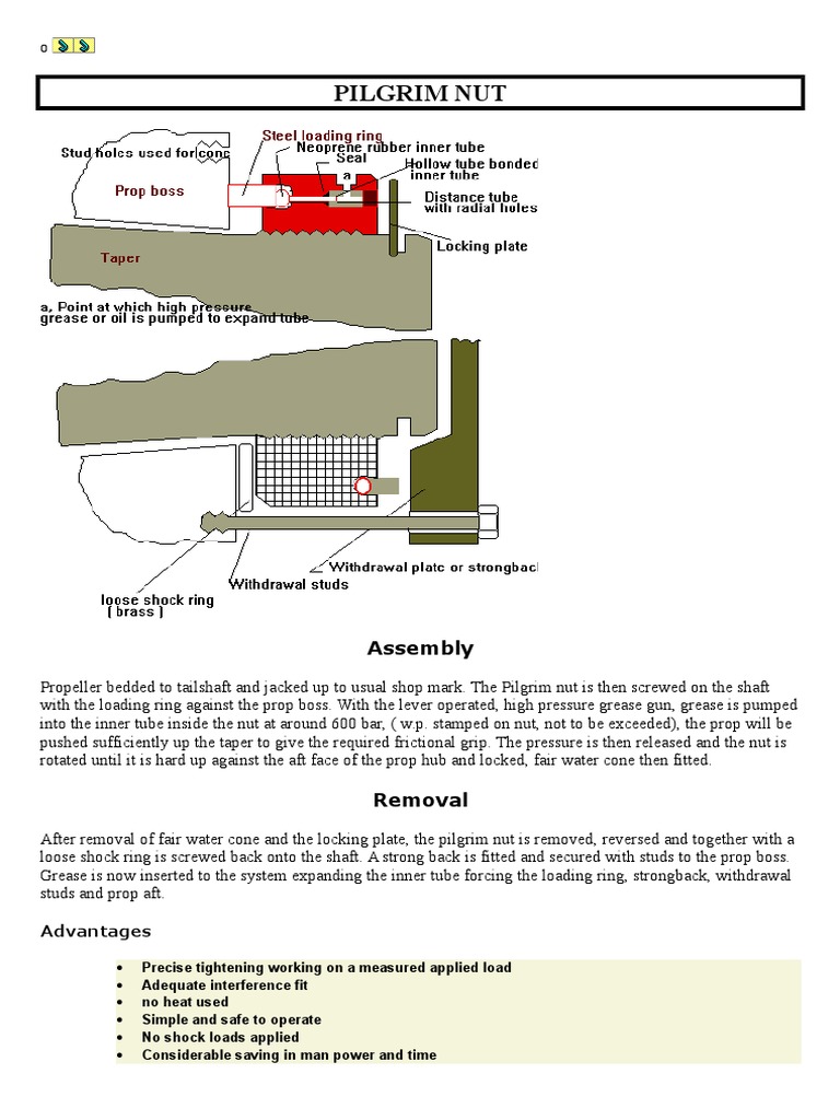 Pilgrim Nut | PDF | Home & Garden