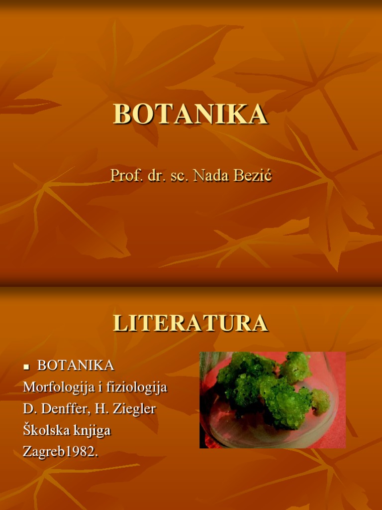 Botanika Mediteranci | PDF