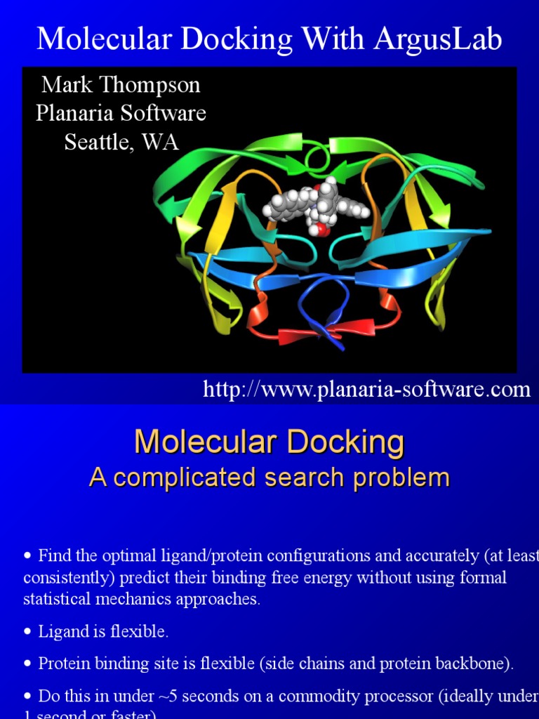 ArgusLab: Molecular Docking Overview | PDF | Docking (Molecular ...