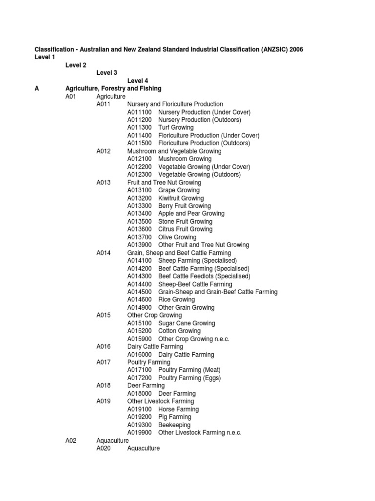 Classification Anzsic06 Complete v1 0 | PDF | Mining | Retail