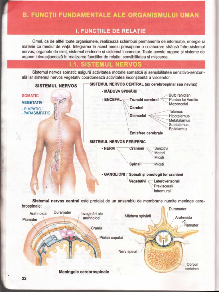 Functiile de Relatie | PDF