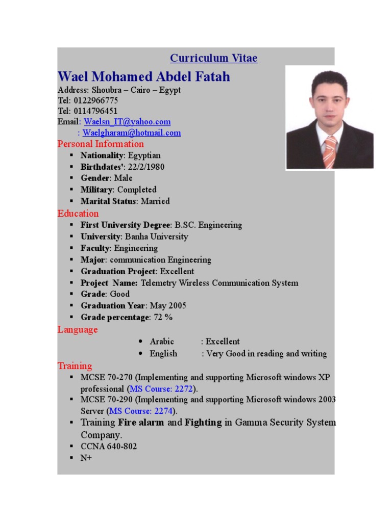 Wael Mohamed Abdel Fatah: Curriculum Vitae | PDF