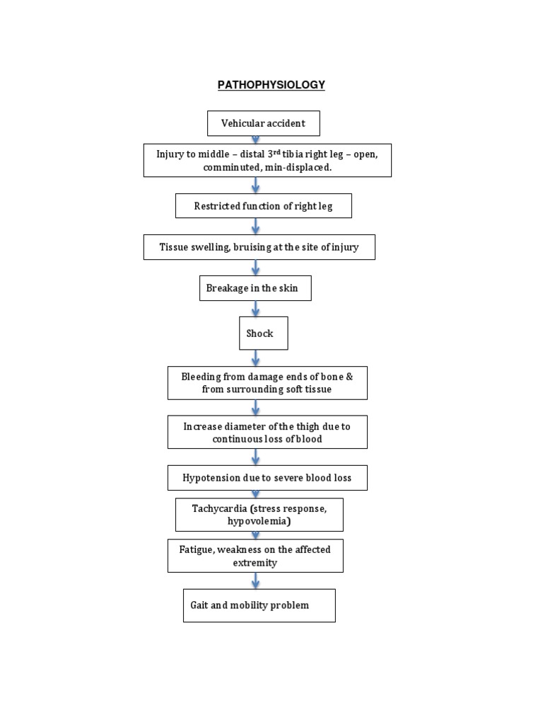 Fracture Pathophysiology | Musculoskeletal System | Diseases And Disorders