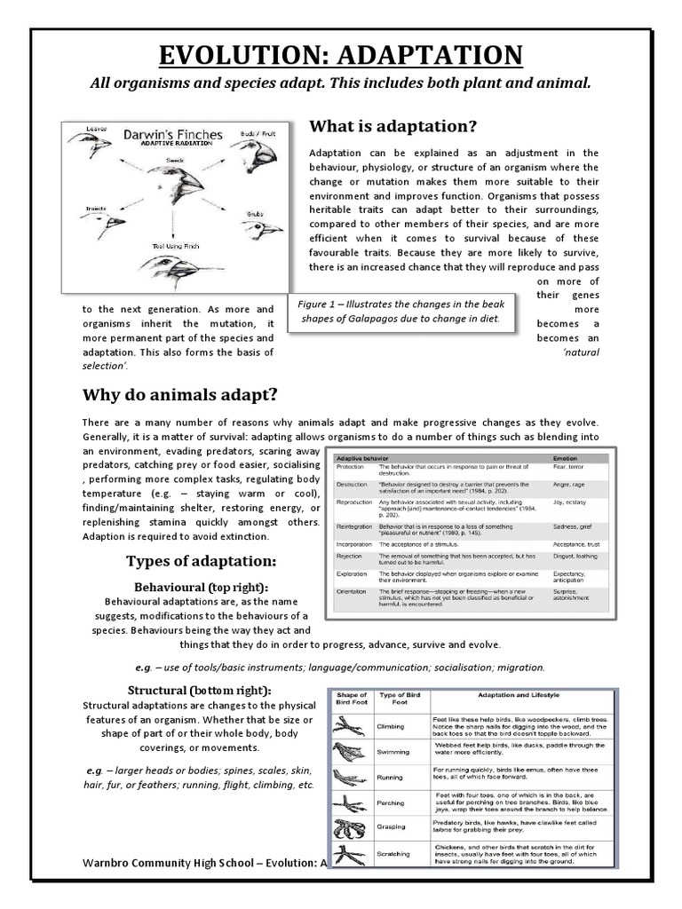 Evolution Worksheet - Adaptation | PDF | Adaptation | Natural Selection