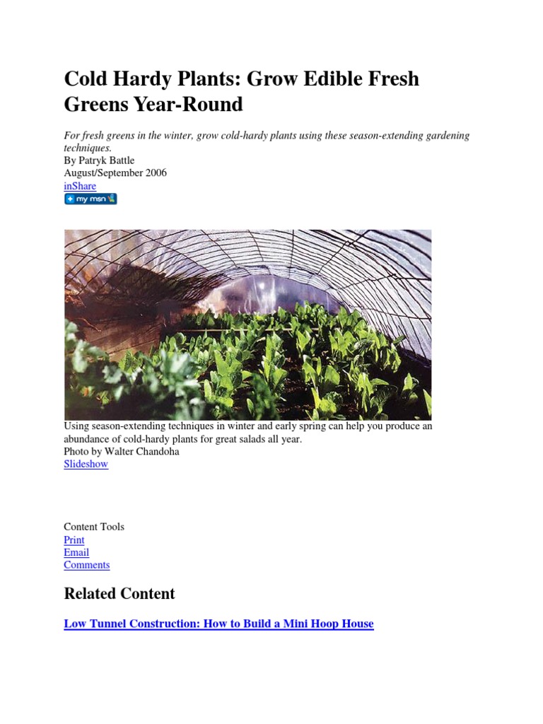 Cold Hardy Plants: Grow Edible Fresh Greens Year-Round: Related Content ...