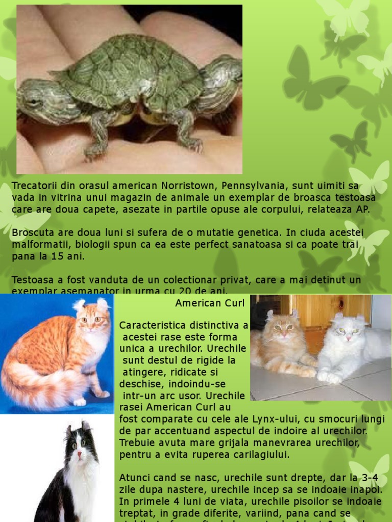 Mutatii Genetice, La Animale | PDF