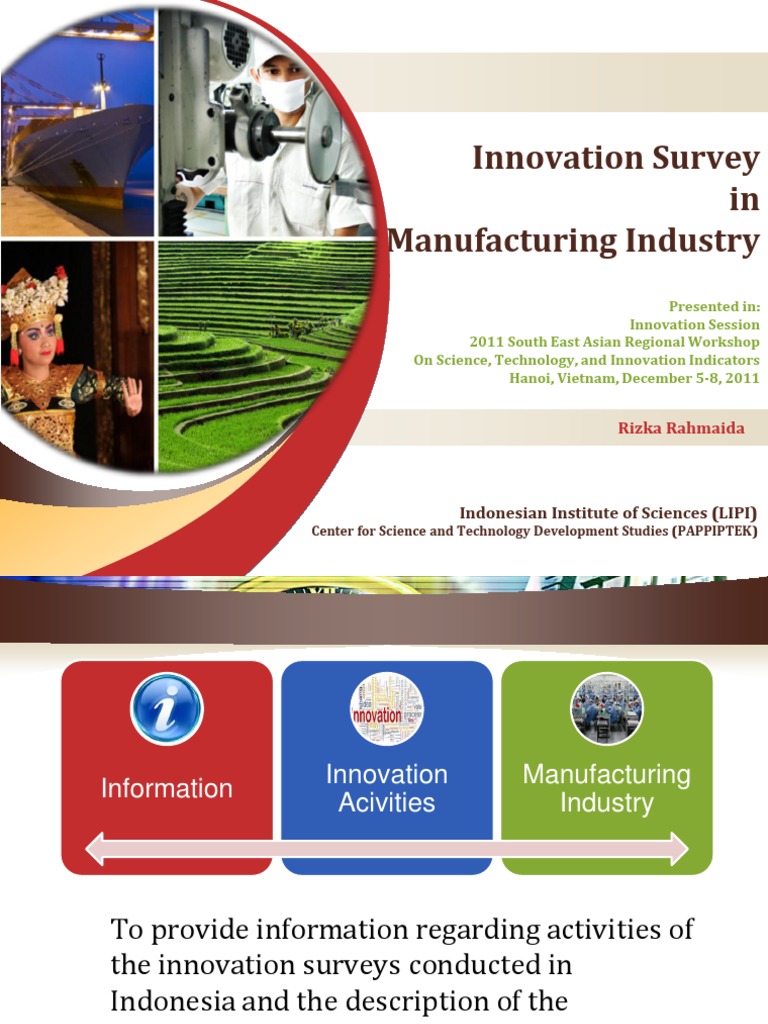 Innovation Survey Indonesia | PDF | Survey Methodology | Research And ...