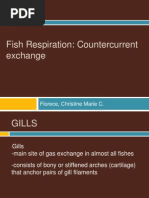 Endocrine System of Fish | PDF | Luteinizing Hormone | Endocrine System