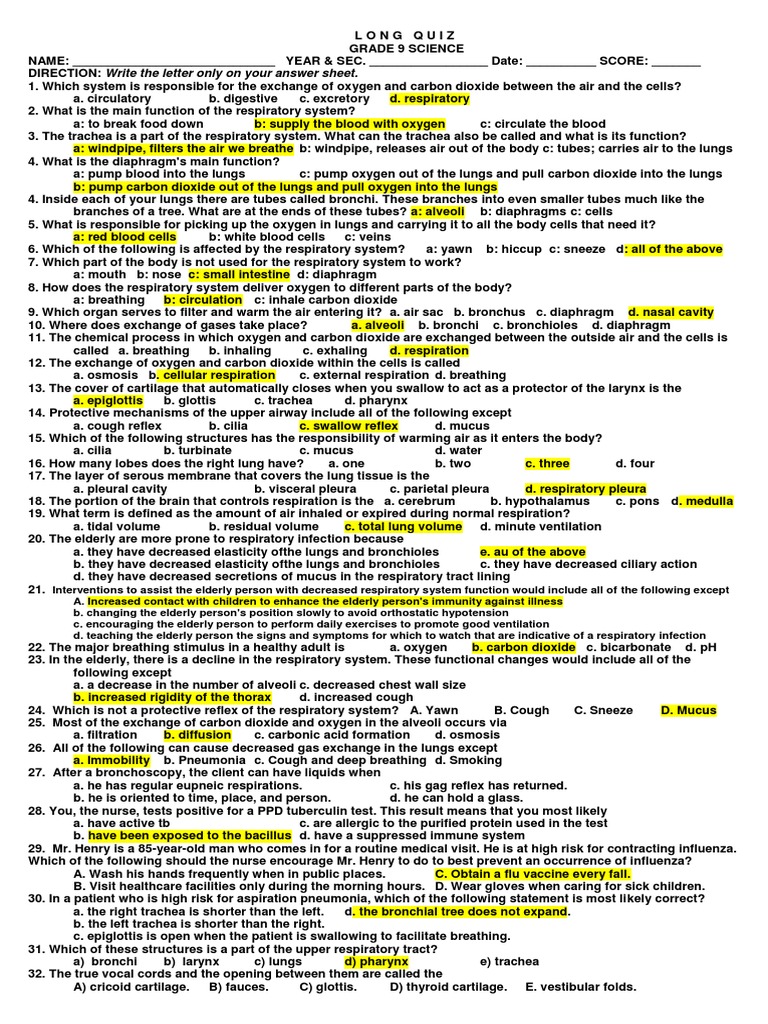 Understanding the Respiratory System: A Comprehensive Quiz on the ...