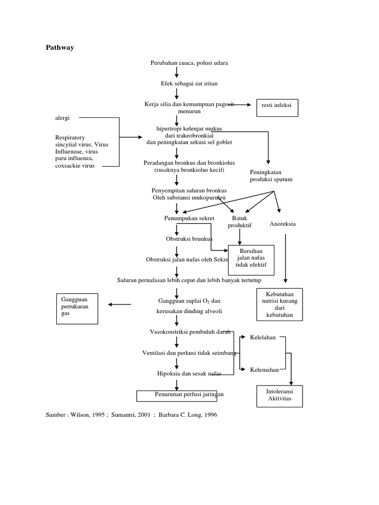 Pathway Bronkitis | PDF | Seni