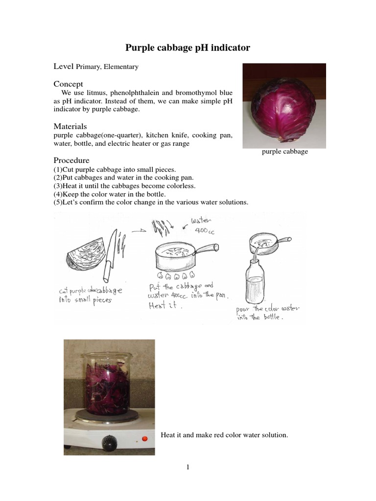 Purple Cabbage pH Indicator Guide | PDF