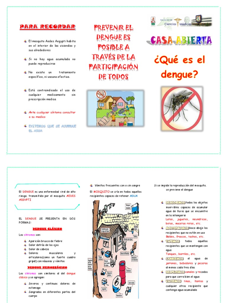 Triptico Del Dengue | Salud pública | Enfermedades y trastornos