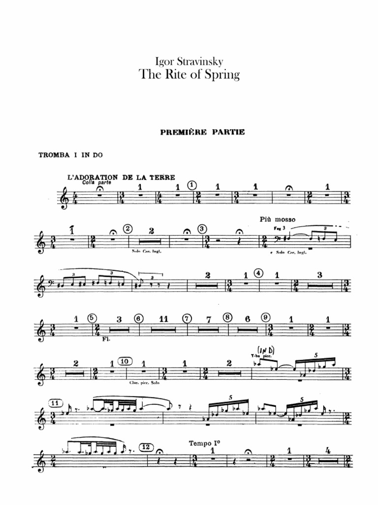 Stravinsky - Rite of Spring (Trumpets) | PDF | Foreign Language Studies