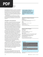 Schedule Y Guidelines | PDF | Clinical Trial | Institutional Review Board