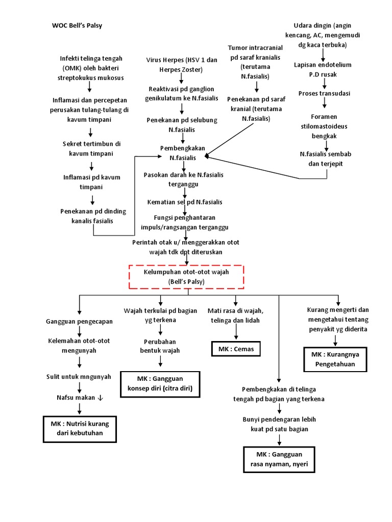 WOC Bells Palsy | PDF