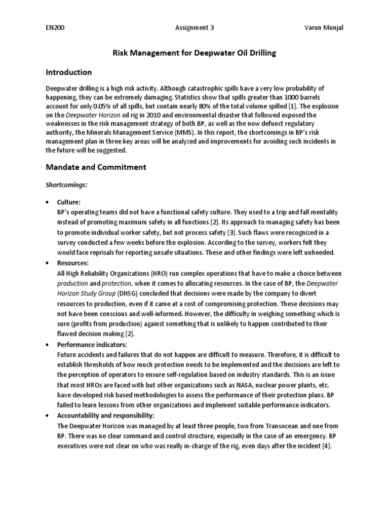Risk Management For Deepwater Oil Drilling | PDF | Bp | Deepwater Horizon