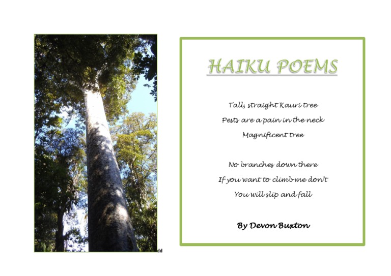 Haiku Poems About Kauri Trees | PDF