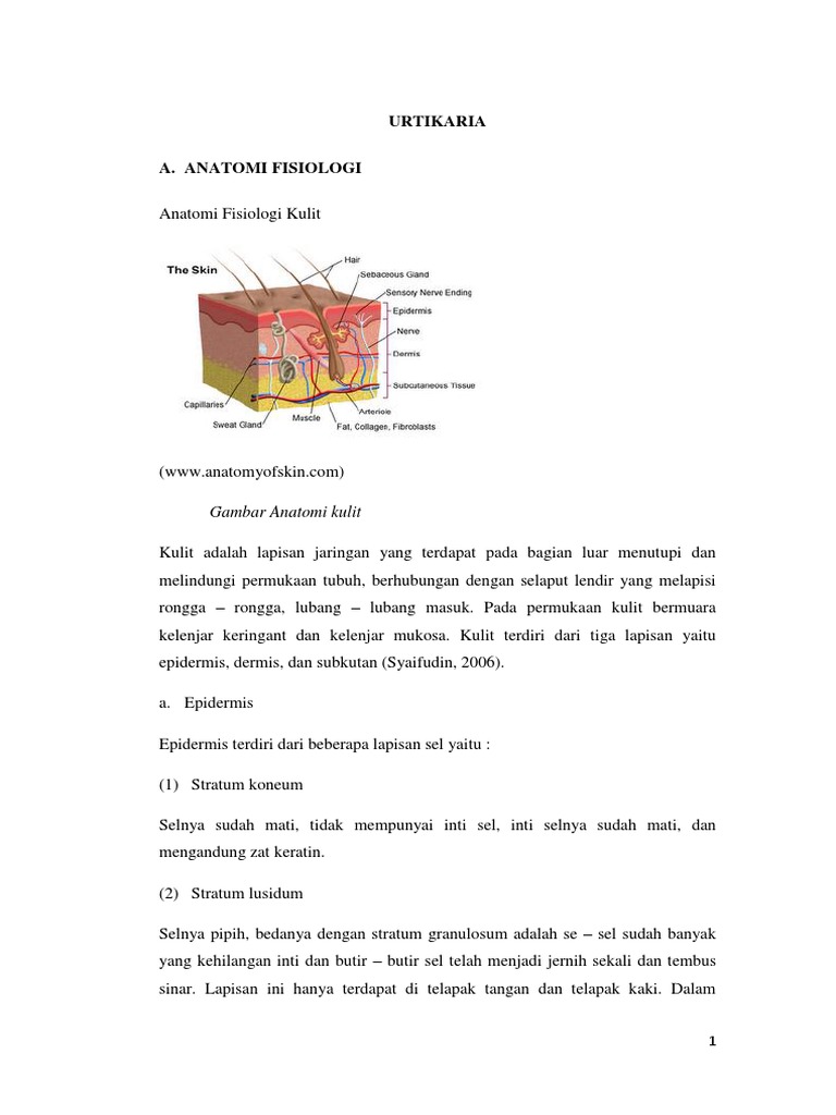 Makalah Urtikaria | PDF | Griya & Taman | Kesehatan Holistik