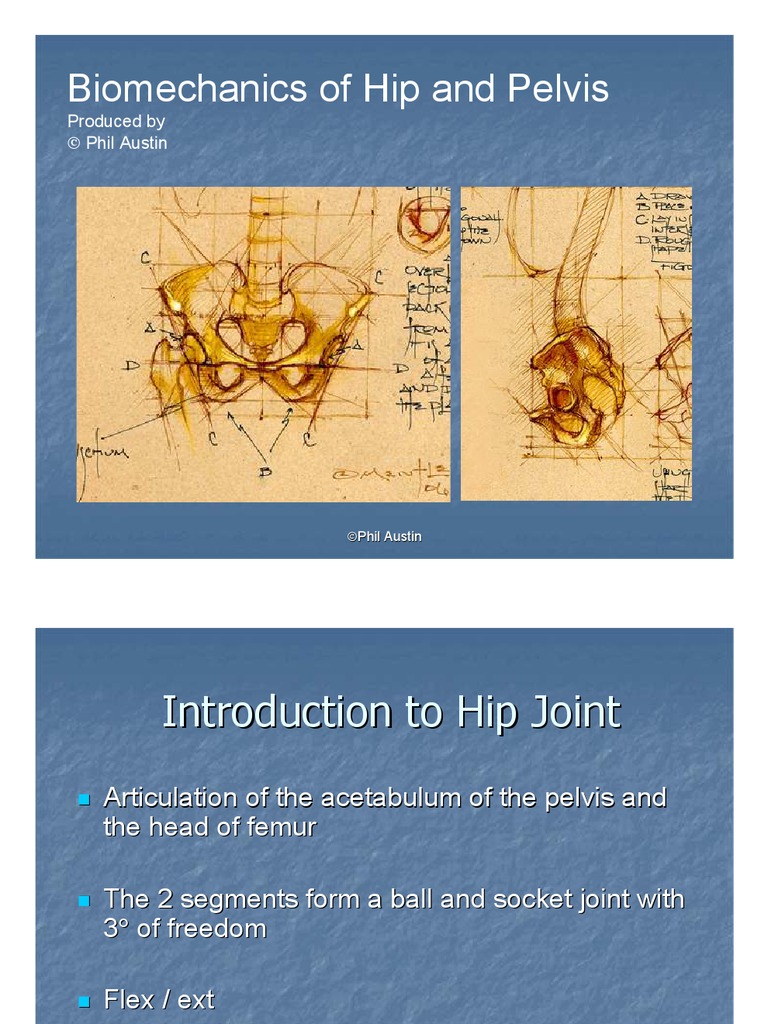 PDF- Bio Mechanics of Pelvis and Low Back Pain | Hip | Pelvis