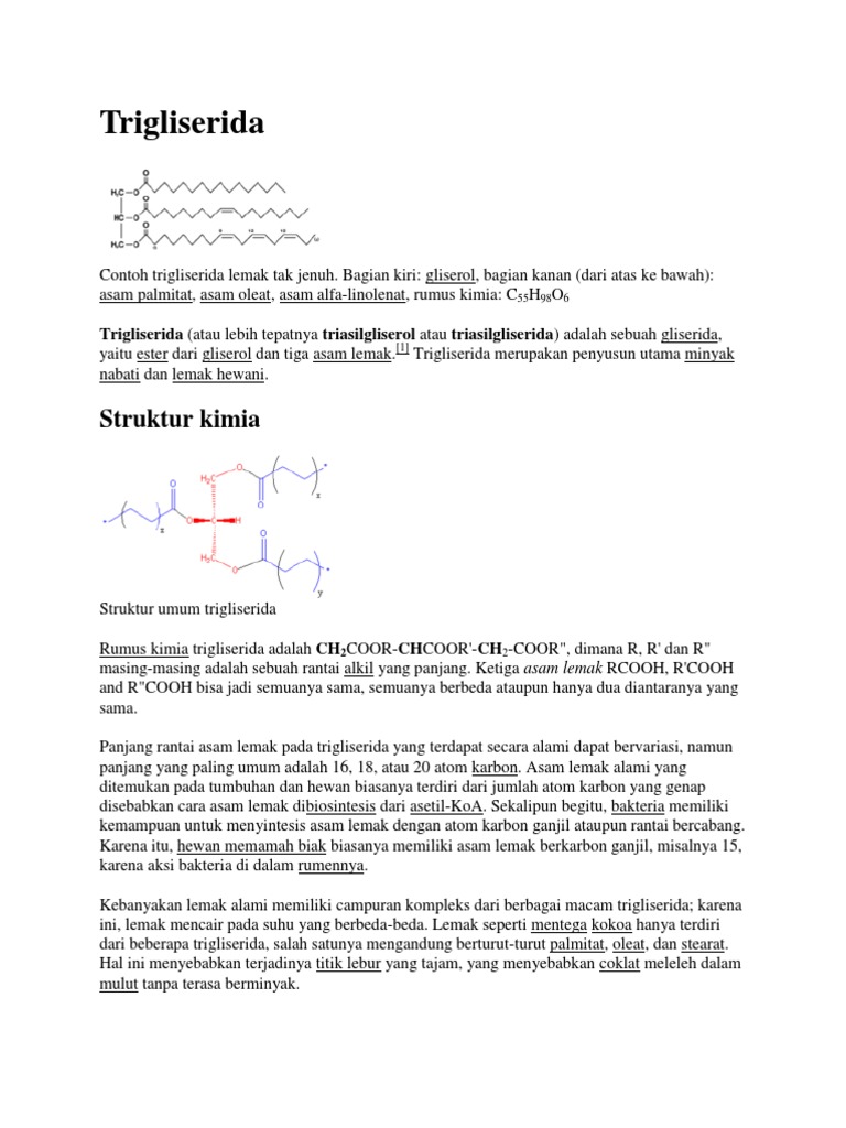 Trigliserida | PDF