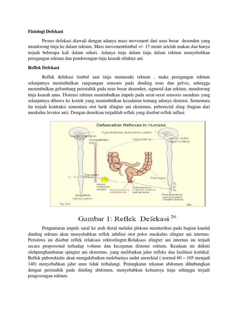 Fisiologi Defekasi | PDF
