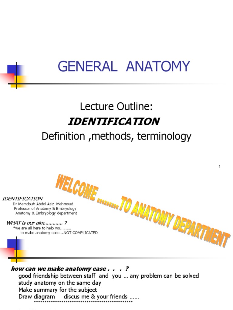 General Anatomy: Identification | PDF | Anatomical Terms Of Motion ...