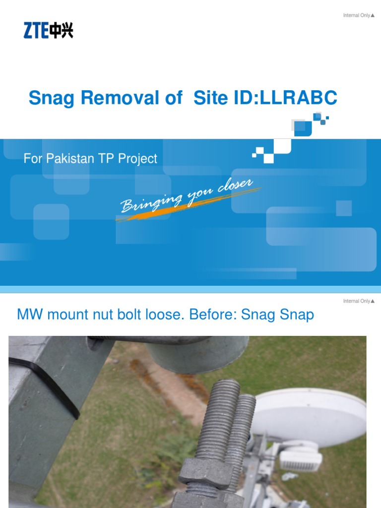 Snag Removal Report for LLRABC Site | PDF