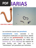 Ficha Técnica Quantrel | PDF | Medicamentos con receta | El embarazo