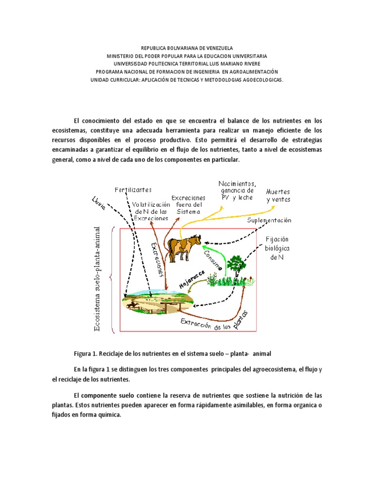 Balance de Nutrientes | PDF | Nutrientes | Suelo