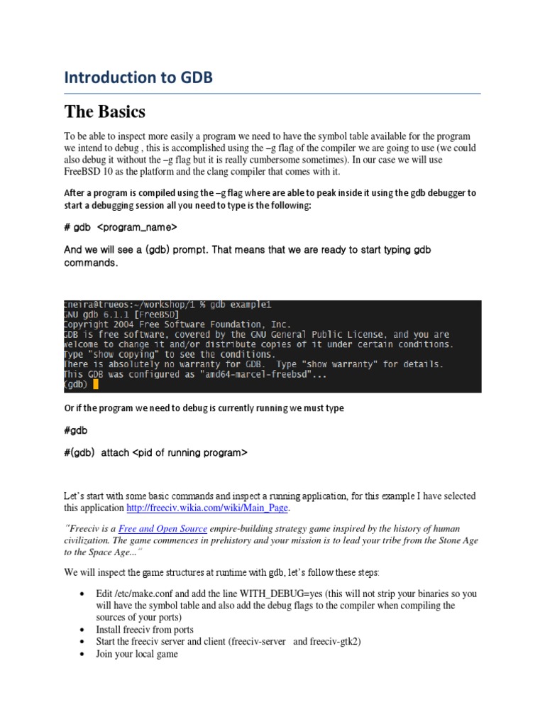 The Basics: Introduction To GDB | PDF | Subroutine | Parameter (Computer Programming)