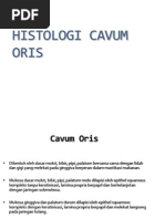 Anatomi Cavum Oris | PDF | Kajian Bahasa Asing