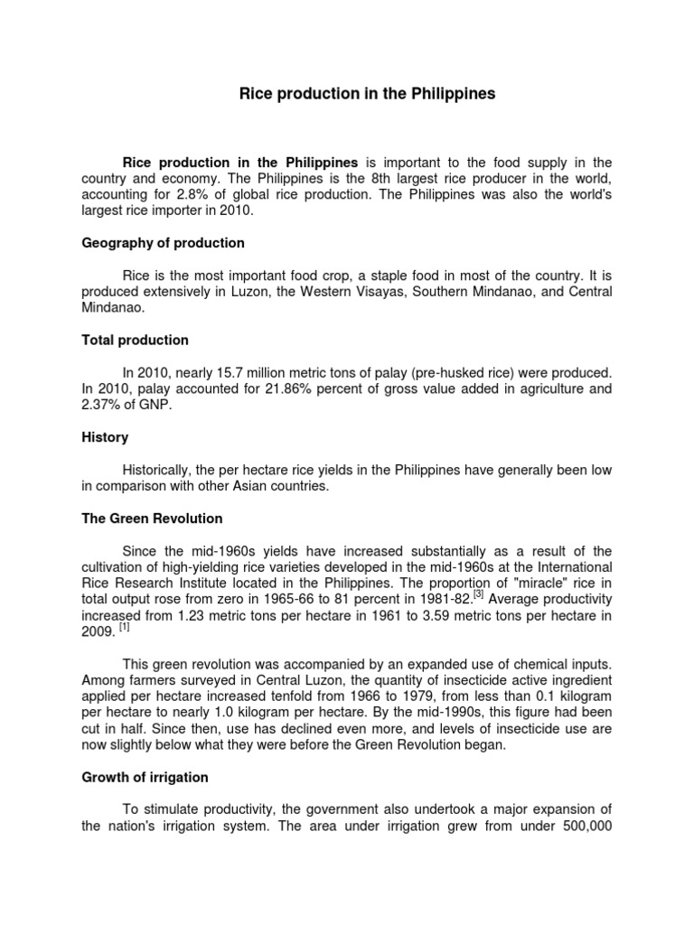 Rice Production in The Country of Philippines Is Important To The Food ...