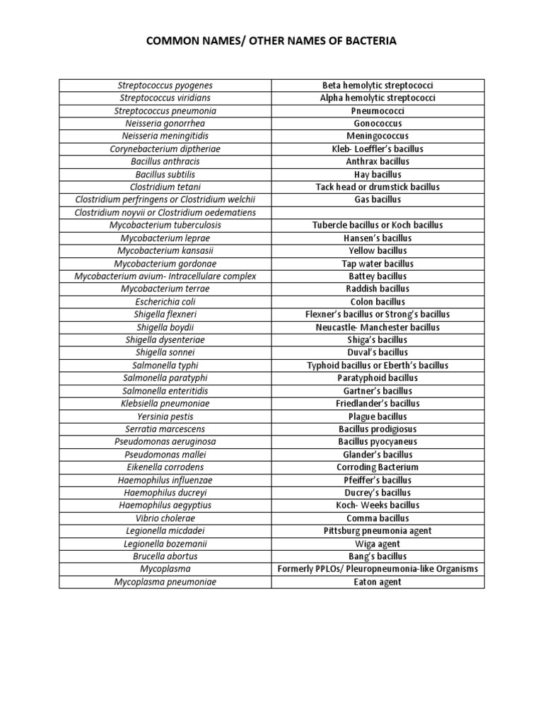 Bacteria Pictures With Names