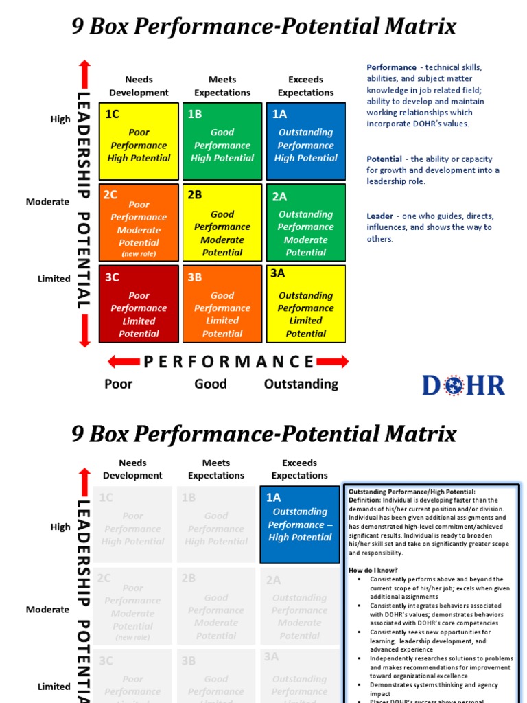9 Box | PDF | Competence (Human Resources) | Leadership
